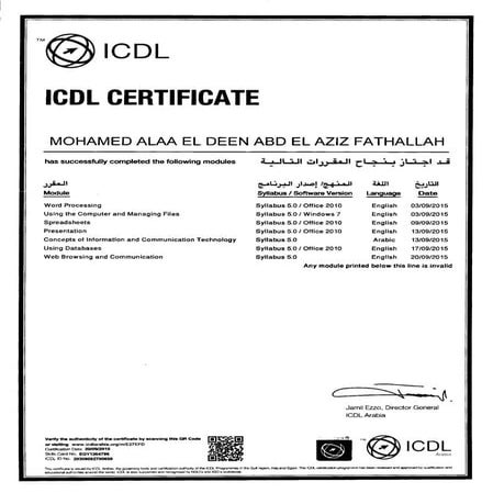ICDL | PDF