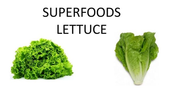 Lettuce | PPT