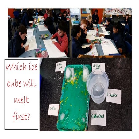 Ice cube experiment photos | PPT