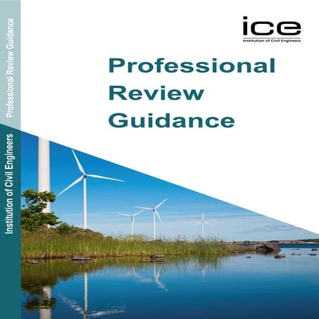 Ice professional review-guidance.pdf