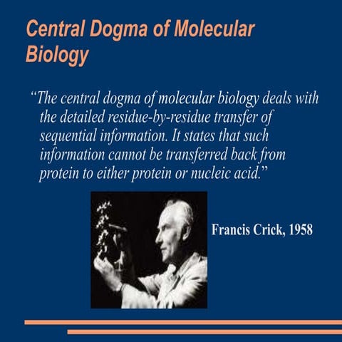 Central Dogma | PPT