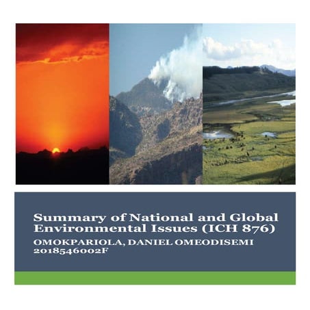 Summary of National and Global Environmental Issues | DOCX