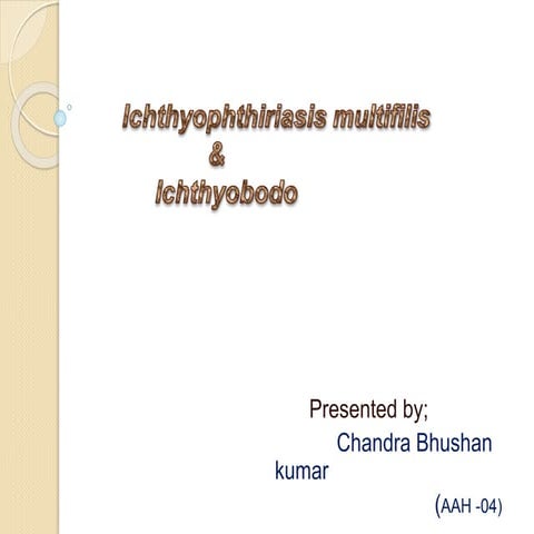 The freshwater ciliate Ichthyophthirius multifiliis life cycle was ...