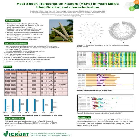 Heat Shock Transcription Factors (HSFs) In Pearl Millet: Identification ...