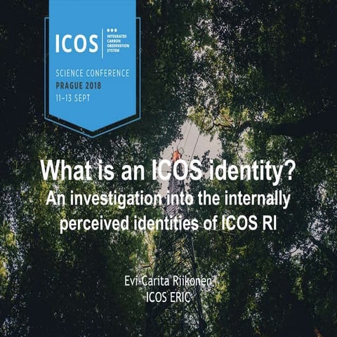 What is an ICOS identity? An investigation into the internally ...