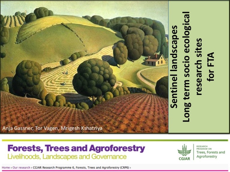 ICRAF IFRI Presentation 2013