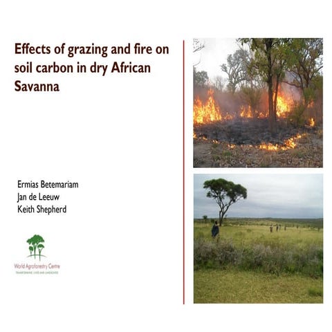 Effects of grazing and fire on soil carbon in dry African Savanna | PPT