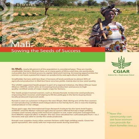 Mali: Sowing the Seeds of Success. ICRISAT | PDF