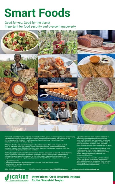 Dg tipsheet4 makehalfyourgrainswhole | PDF