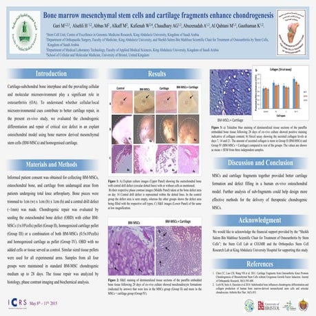 Icrs poster 2 | PDF