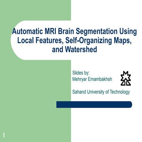 Automatic Mri Brain Segmentation Using Local Features Self Organizing Maps And Watershed Ppt