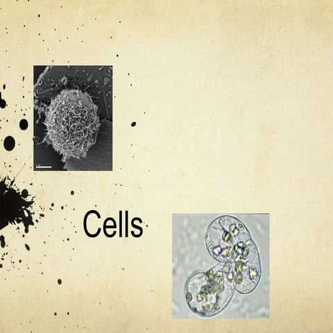 Ict cells powerpoint | PPTX