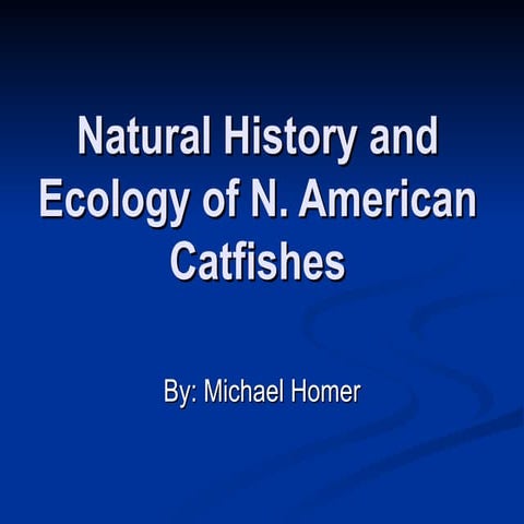 Ictaluridae | PPT