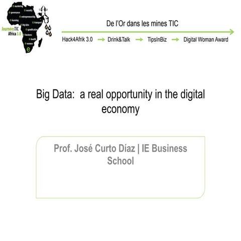 Big Data: a real opportunity in the digital economy | PDF