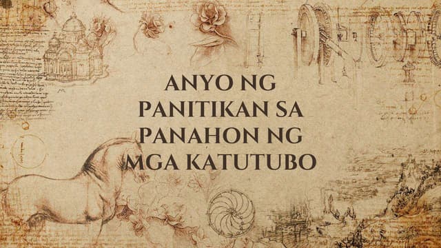 Identifying Vs Enumerating Objects Pptx