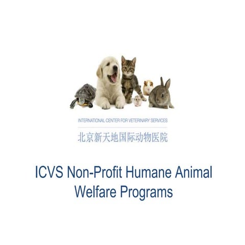 Icvs non profit humane animal welfare programs 2020 | PPT
