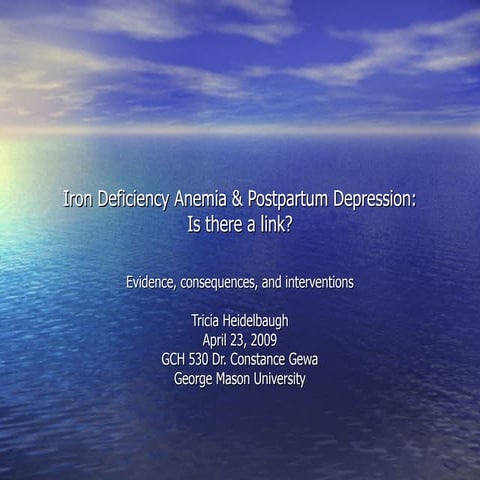 Ida Ppd Final Presentation | PPT