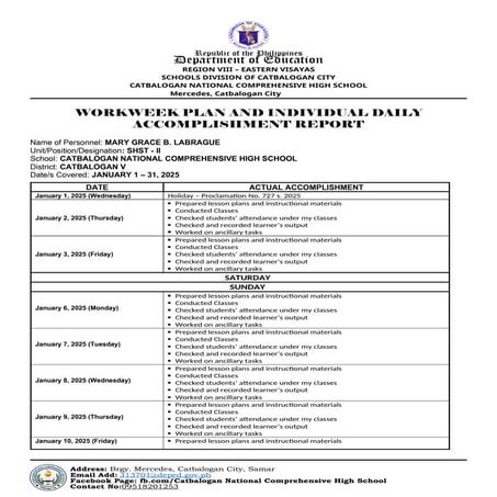 WORK WEEK PLAN AND INDIVIDUAL DAILY ACCOMPLISHMENT REPORT | DOCX