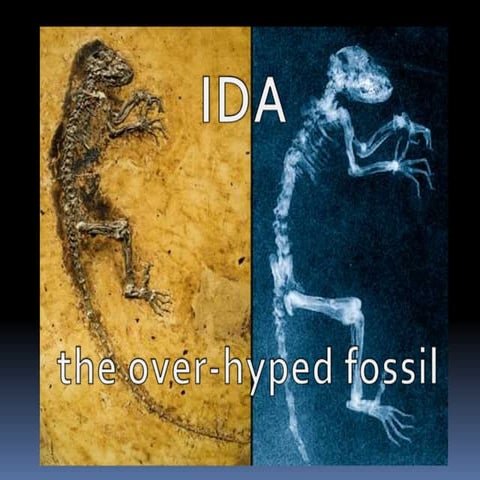 Ida The Over Hyped Fossil | PPTX