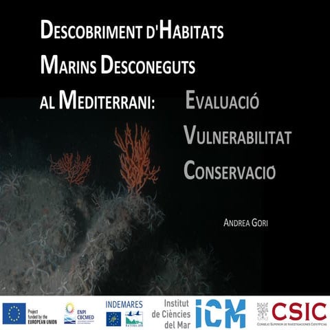 Descobriment hàbitat marí - icm-csic | PPT