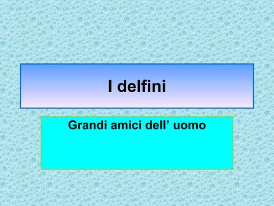 delfini | PPT