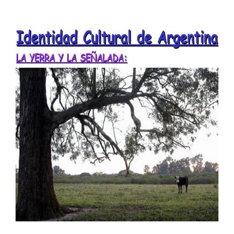 Identidad Cultural Argentina | PPT