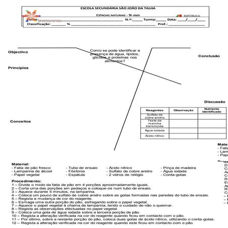 Prática carboidratos | PDF