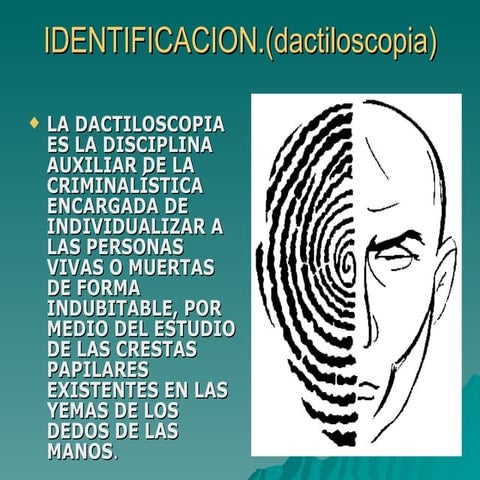 Identificacion de huellas dactilares | PPT