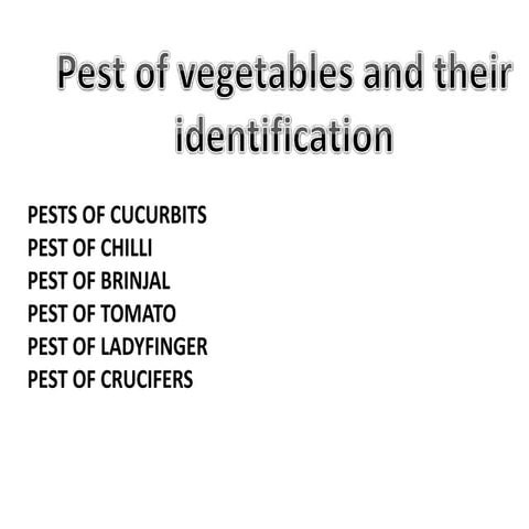 Identification of important pest of vegetable crops | PPTX