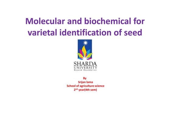 Varietal identificaton through grow-out test and Electrophoresis | PPT