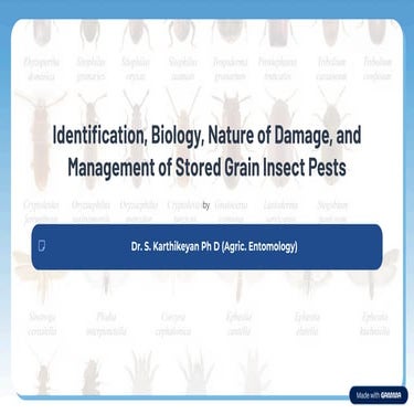 Identification-Biology-Nature-of-Damage-and-Management-of-Stored-Grain-Insect-Pests.pdf
