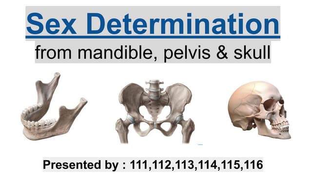 Sex Determination Using Anthropometric Methods Pptx
