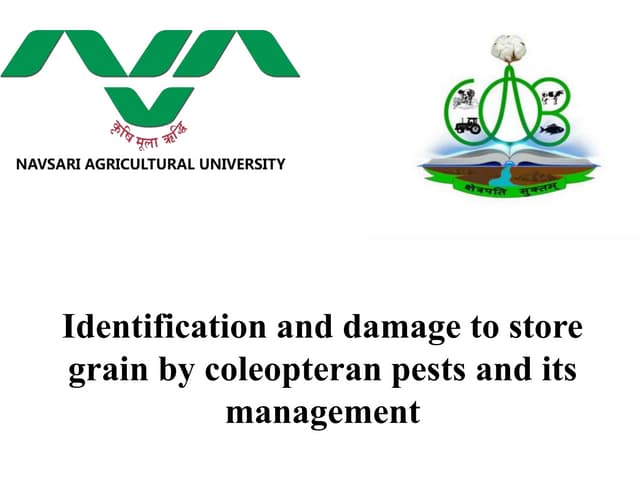 Insecticide resistance management strategies in Stored grain pests | PPTX