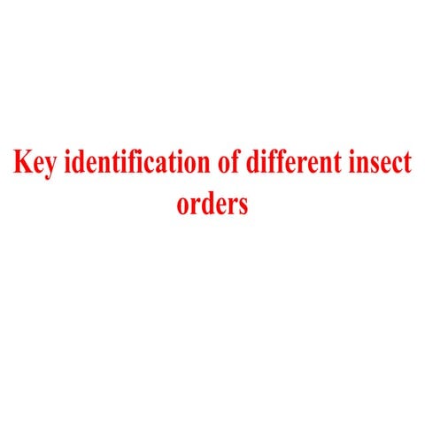 identification keysof different insect orders.pptx