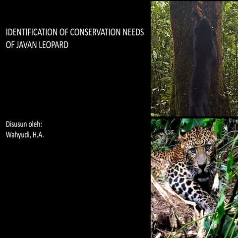 Identification needs of javan leopard conservation | PPT