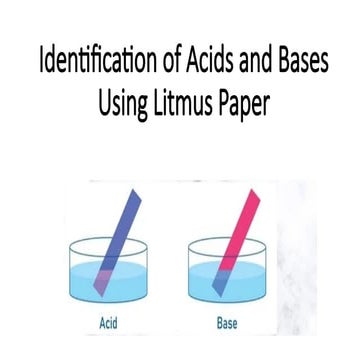 Identification of Acids and Bases Using Litmus Paper.pptx