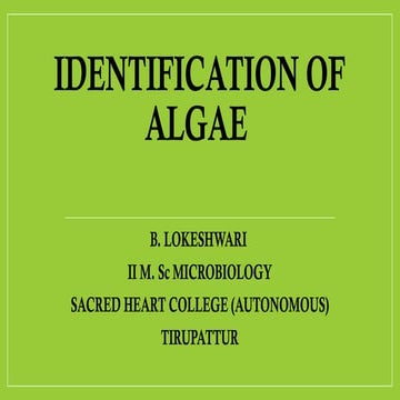 Identification and examination of Algae. | PPTX