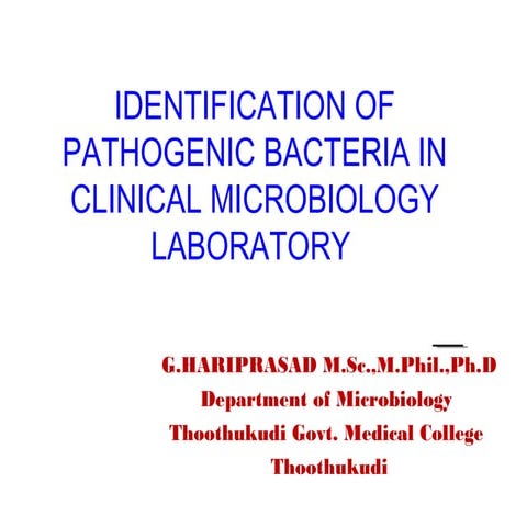 Identificationofbacteria 111011234318-phpapp02 | PPT