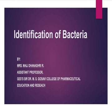 Identification of bacteria | PPTX