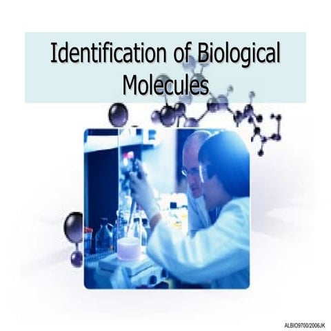 Identification of Biological Molecules | PPT