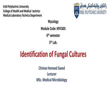 Identification of Fungal Cultures ( Lab.5).pdf