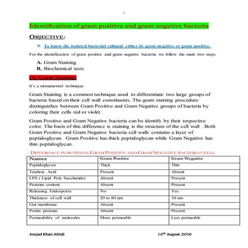 Identification of gram positive and gram negative bacteria | PDF