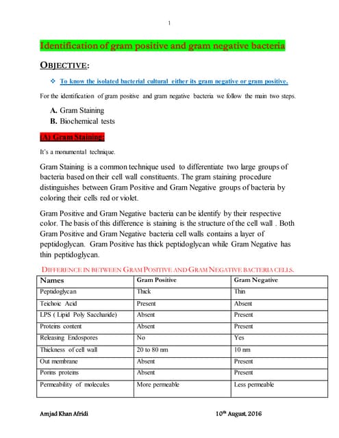 Identifying Unknown Bacteria Lab | DOCX | Chemistry | Science