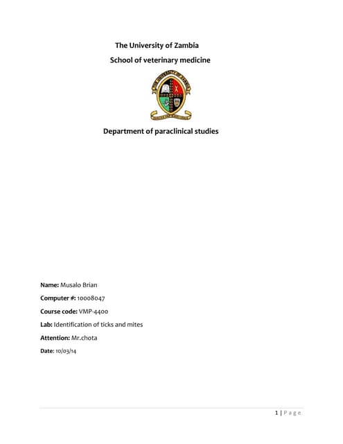 Siphunculata classification | DOCX