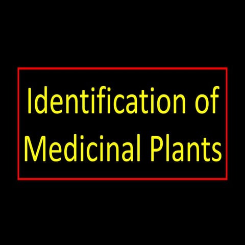 Identification of Medicinal Plants-KUB.ppt