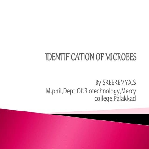 Identification of microbes | PPTX