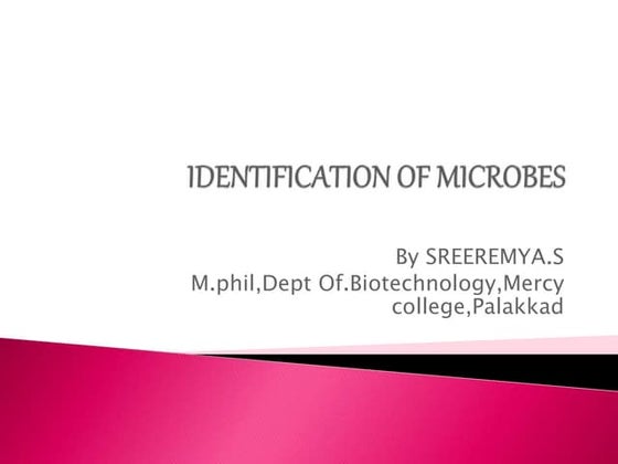 Medical Microbiology Laboratory (Clostridium spp.) | PDF