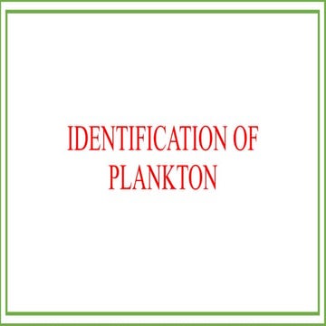 Identification of plankton | PPTX