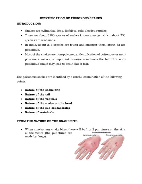 Basic safety against snake bite at work place | PPTX | First Aid | Injuries