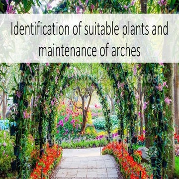 Identification of suitable plants and maintenance of arches.pdf
